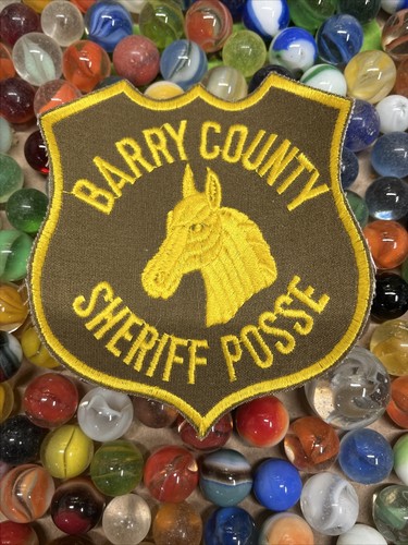 MICHIGAN MI BARRY COUNTY SHERIFF POSSEE NICE SHOULDER PATCH POLICE | eBay