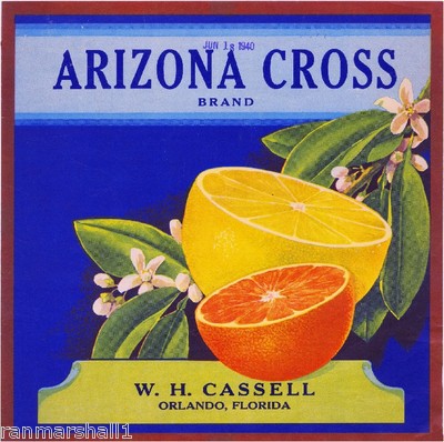 Orlando Florida Arizona Cross Orange Citrus Fruit Crate Label Print | eBay