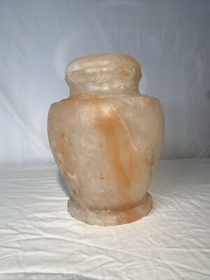 Biodegradable Natural Salt Urn 10” | eBay