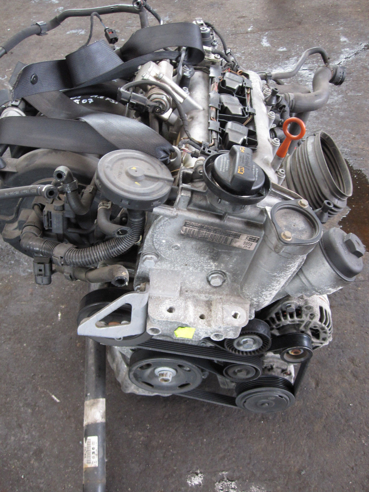 VW Motor BLF 85KW 1.6FSI VW EOS 1F GOLF5, AUDI A3 8P Bj.08, +++ erst ...