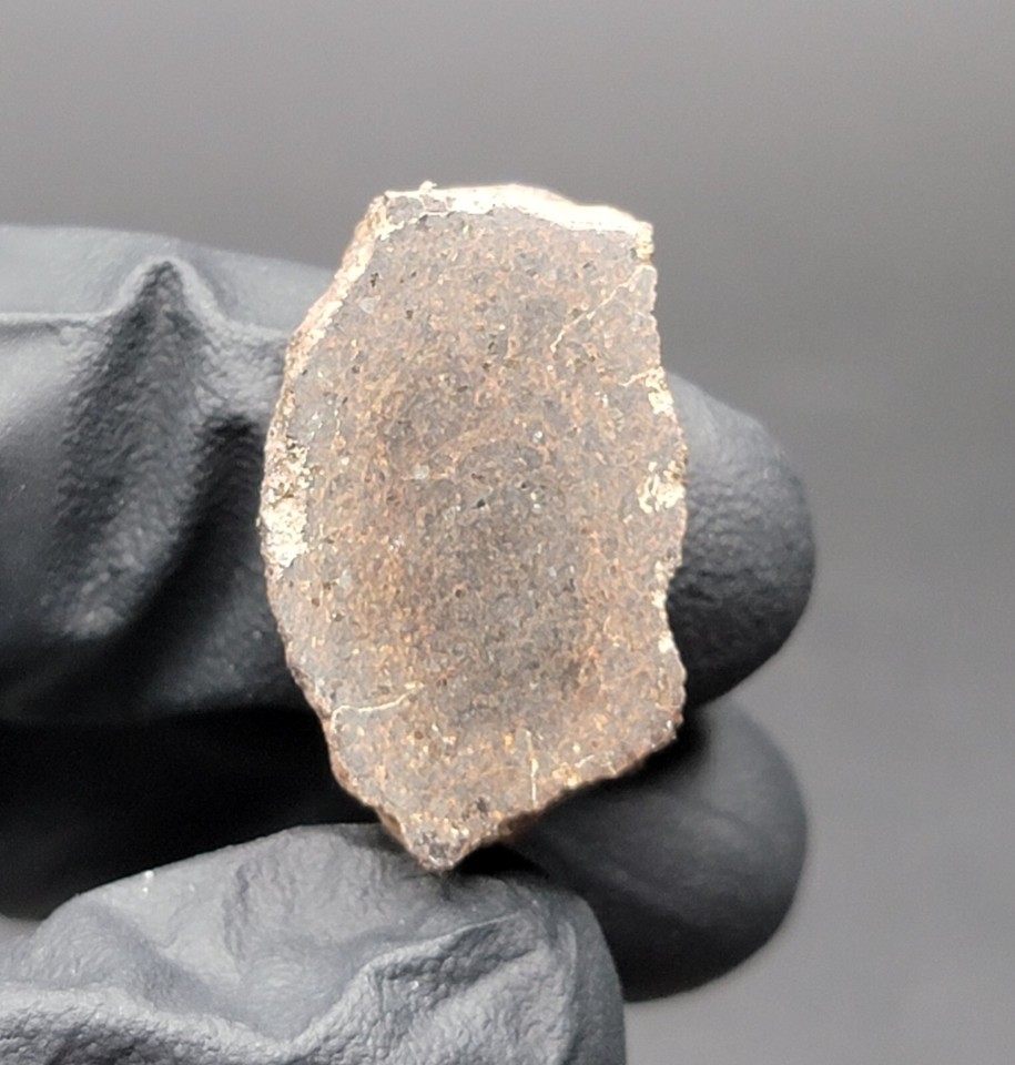 NWA 4874 (7.691g) Brachinite Meteorite, Thick Polished Slice, IMCA ...