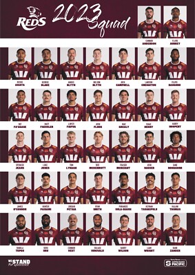 QUEENSLAND REDS RUGBY TEAM Poster,BIG 420mm,BARGAIN,FEEDBACKS++ | eBay