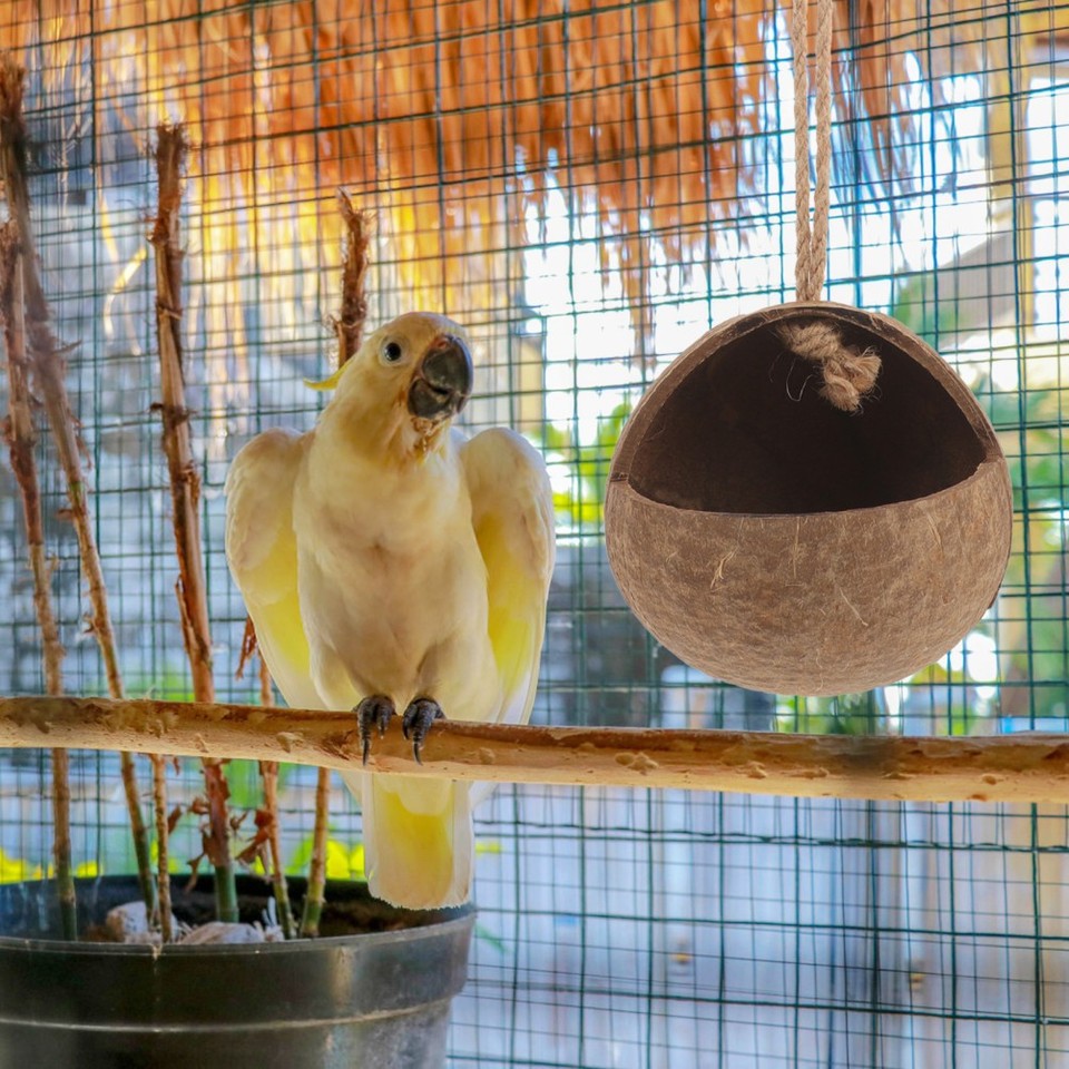 Coconuts Shell Nest Cage Coconuts Shell Hanging Bird Nest Bird Breeding ...
