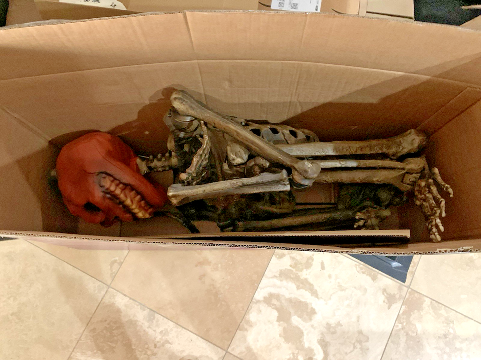 6FT Rotten Poseable Pumpkin Skeleton LifeEyes LCD Eyes Home Accents ...