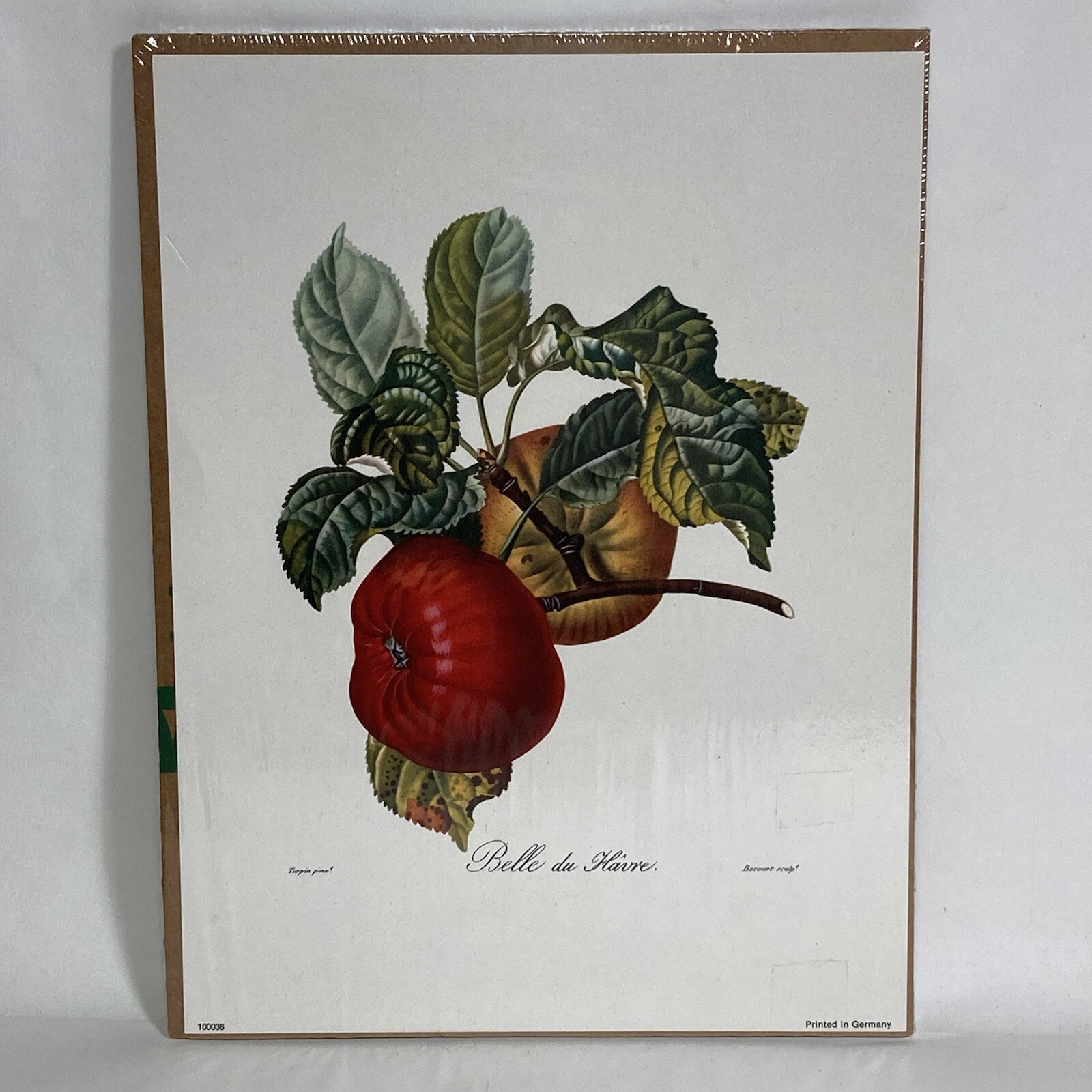 Botanical Print Fruit Vegetable Red Drawing Printed In Germany Vintage ...