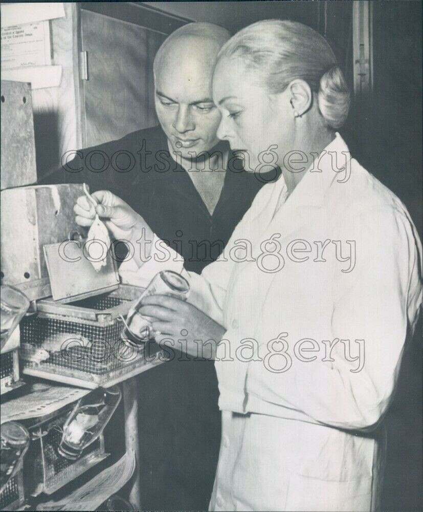 Virginia Gilmore Yul