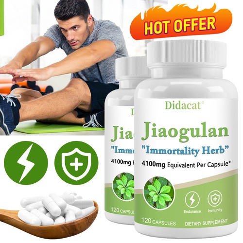 Jiaogulan 4100mg Capsules Gynostemma Pentaphyllum/AMPK Activator ...
