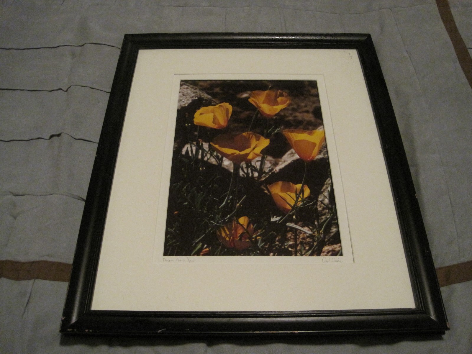 Carol Weeks Floral LE 3/150 Framed and Matted Photograph 22x18" | eBay