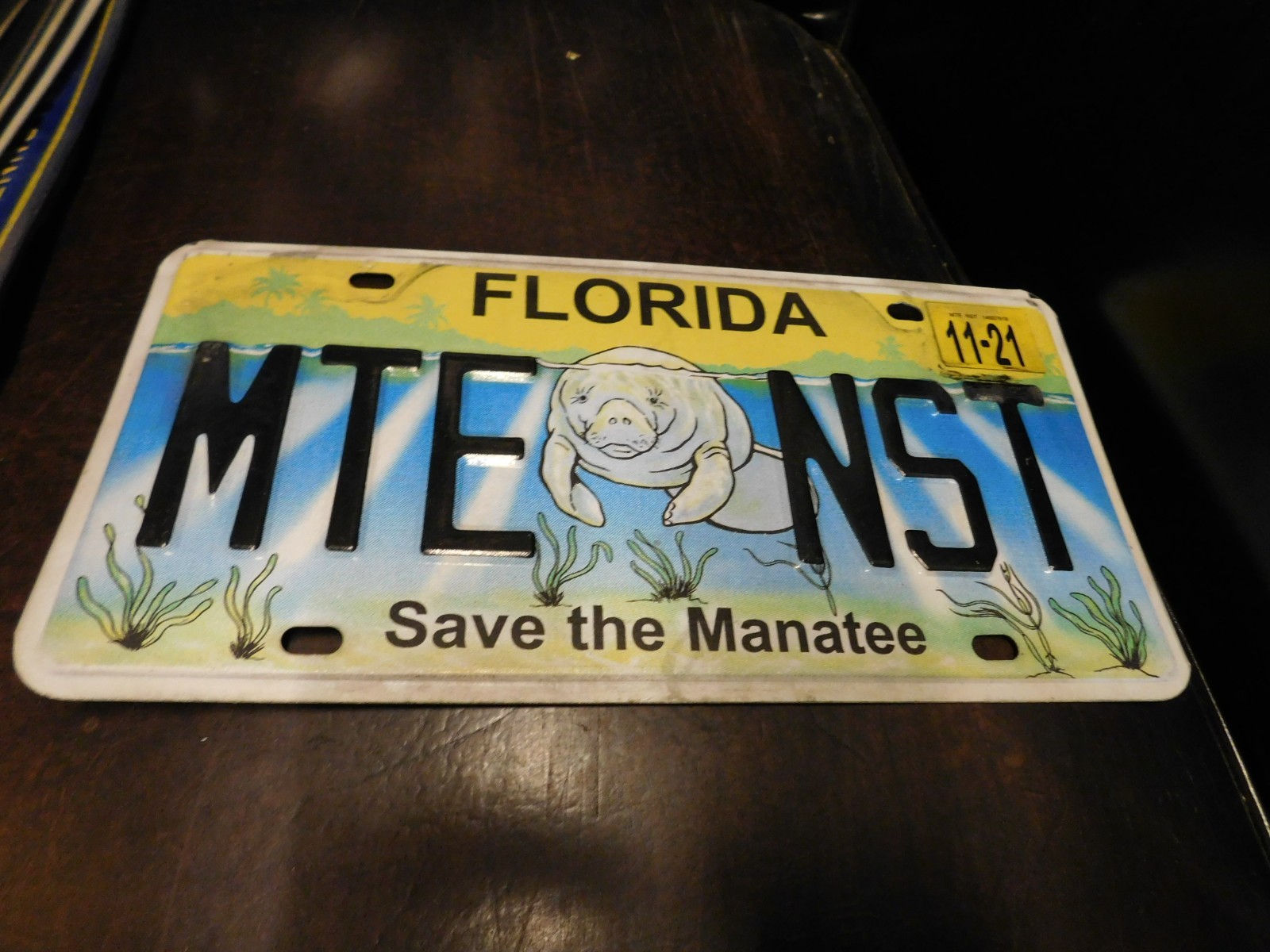 Florida Expired License Plate FL Tag Save The Manatee Vanity MTE NST ...