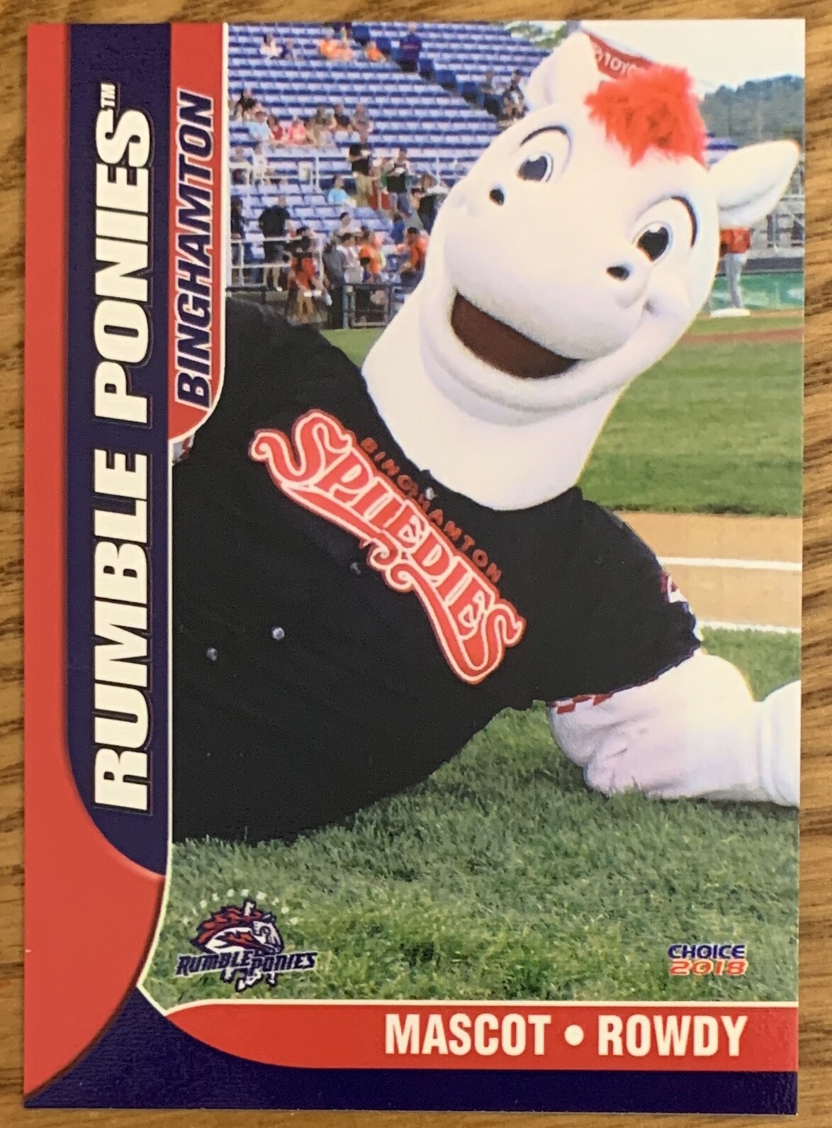 ROWDY, '18 RUMBLE PONIES MASCOT CARD, METS MINOR LEAGUE LEAGUE | eBay