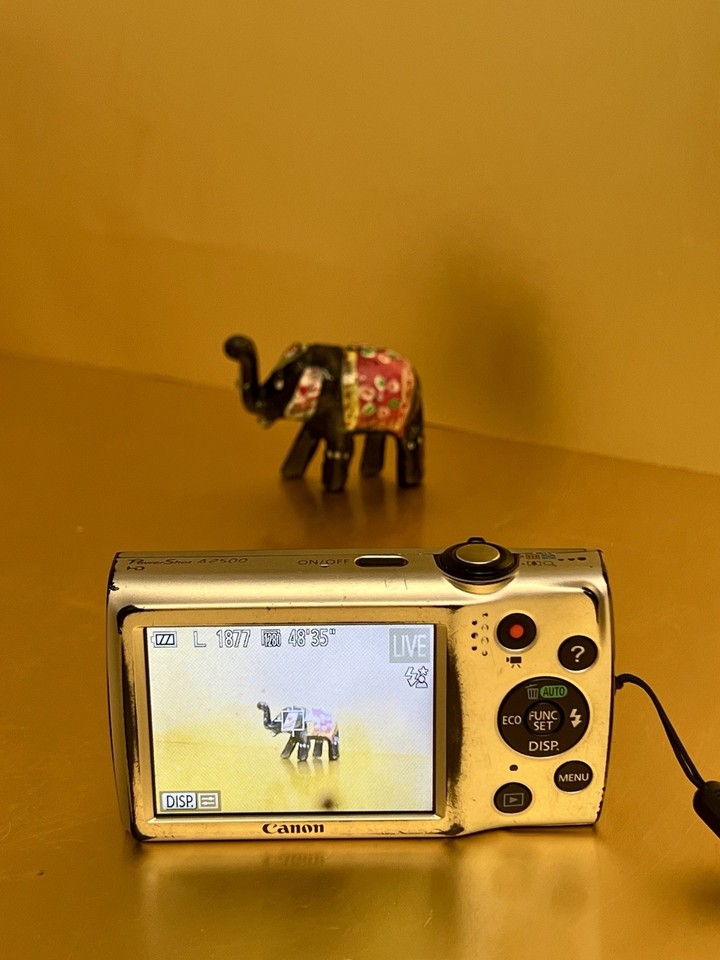 *Read* Canon PowerShot A2500 Sliver Digital Camera 5X Optical Zoom With ...