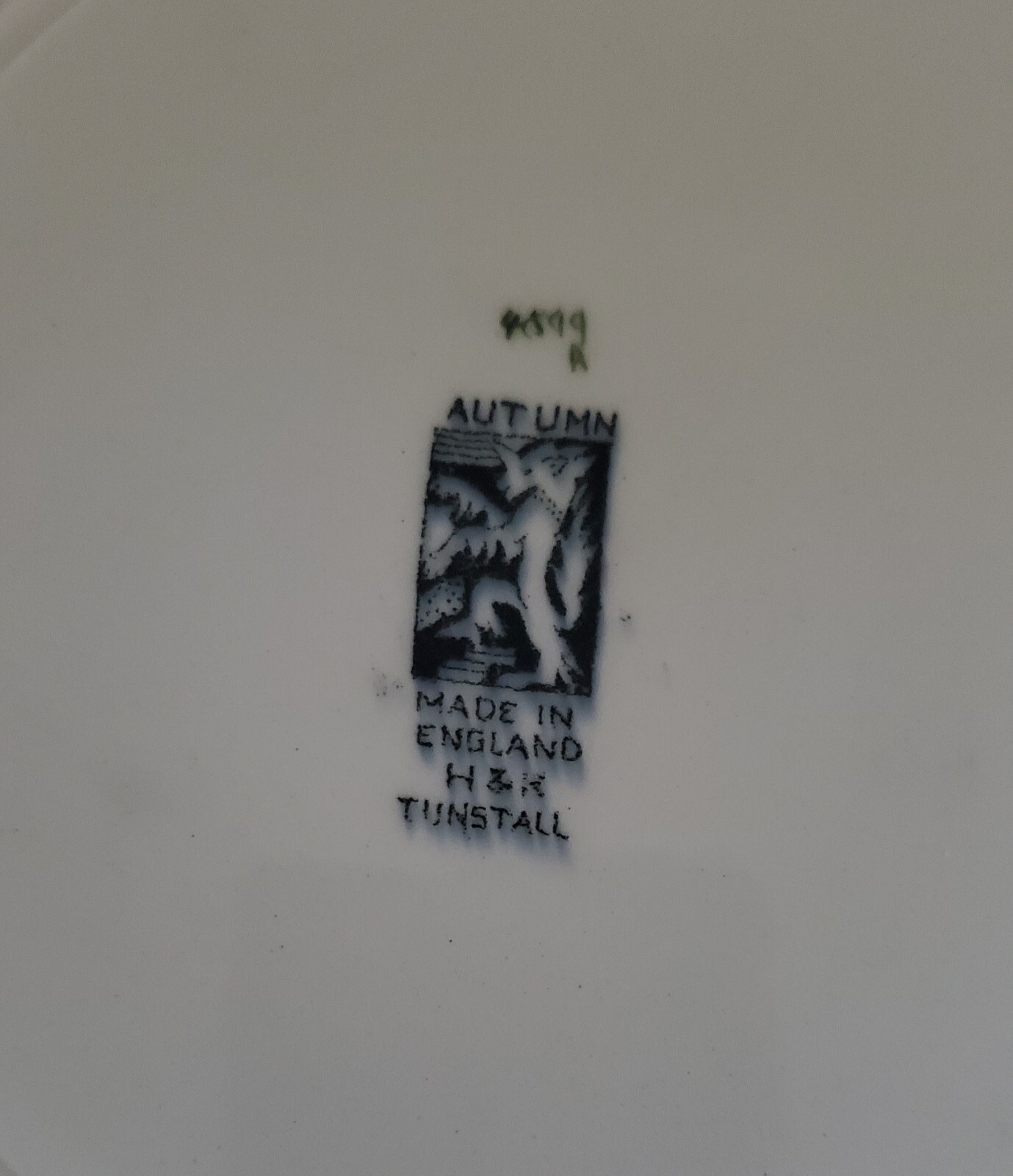 Vintage H+K Tunstall Autumn 9" Plate English China | eBay