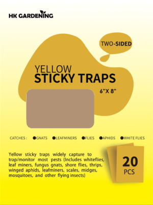 20PCS Sticky Fly Trap Paper Yellow Traps Fruit Flies Insect Glue ...