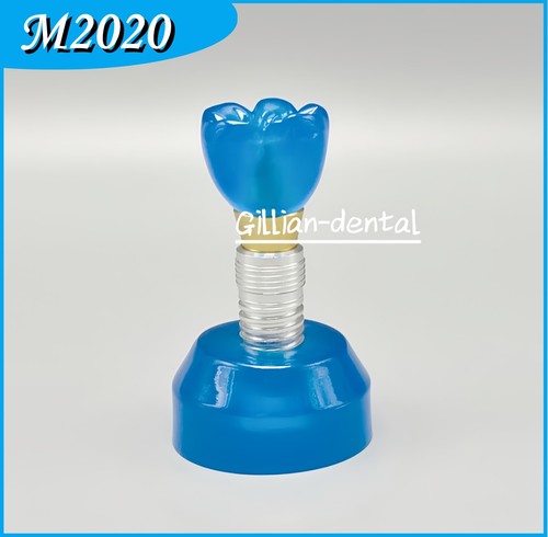 1pc Dental Implant Model Demonstration Teeth Study Teach Models Blue ...