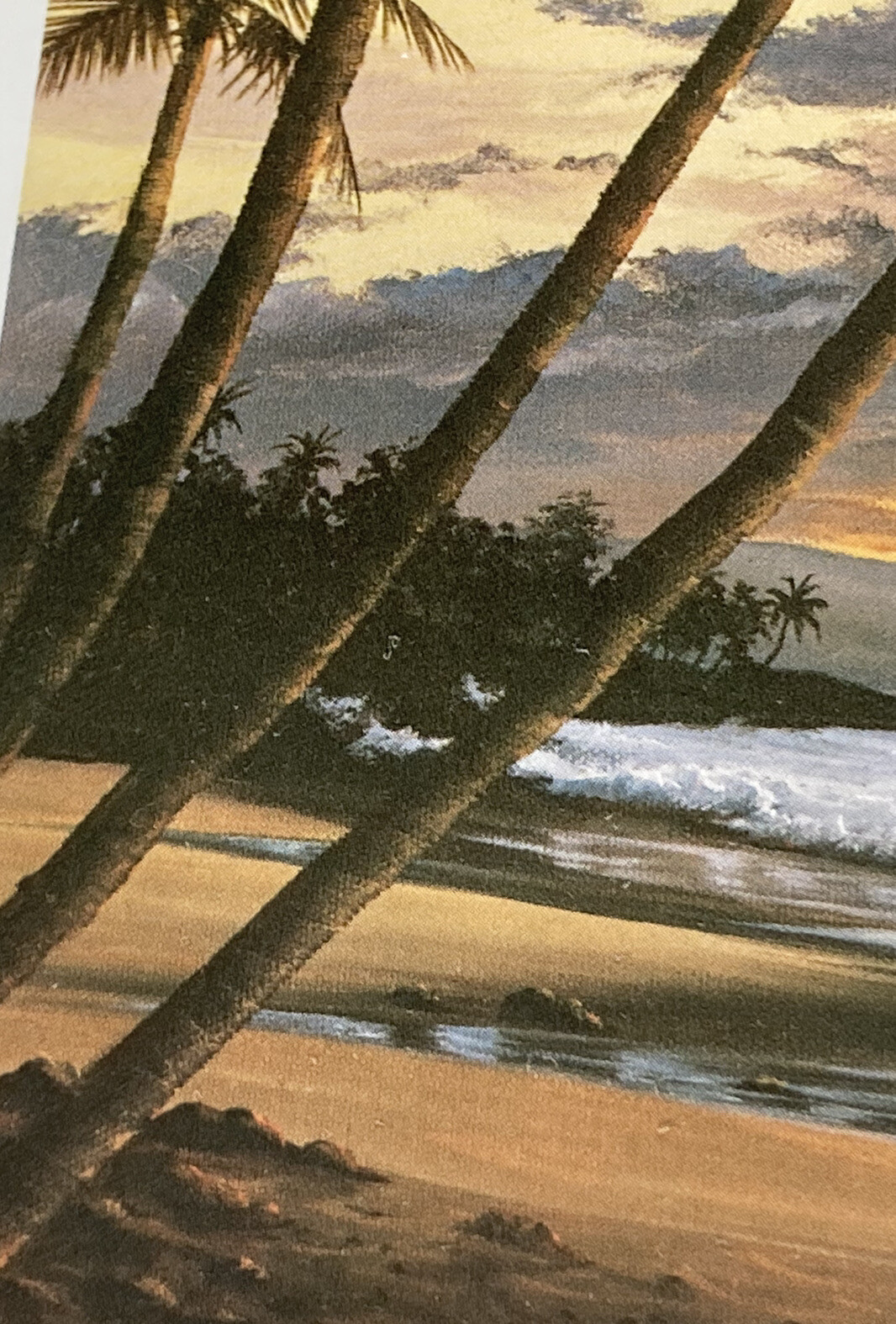 Maui Hawaii Framed Signed Art Print Artist Larry Dotson Beach Ocean ...
