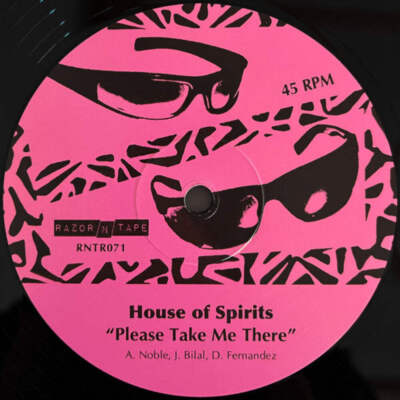 House Of Spirits - Please Take Me There (12") | eBay
