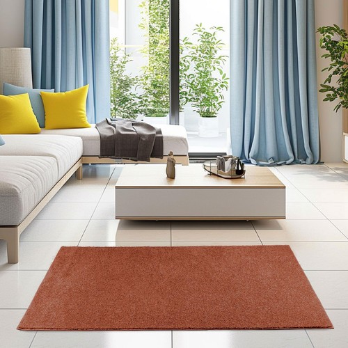 Pet Friendly Solid Color Area Rugs Rust - 18" x 36" Half Round, Indoor ...