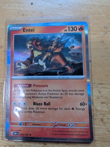 Entei Basic Holo 030/197 2023 Pokemon NO.0244 | eBay