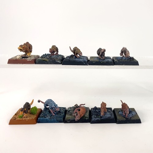 X10 Giant Rats Plastic Warhammer FB | P-00HP6 | eBay