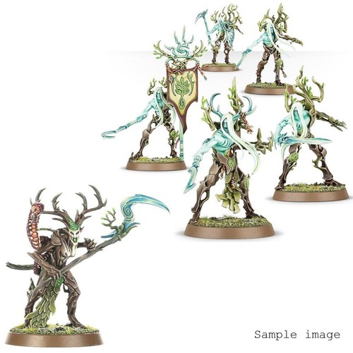 Sylvaneth Tree Revenants (x5) And Branchwych (x1) New On Sprue Age Of ...