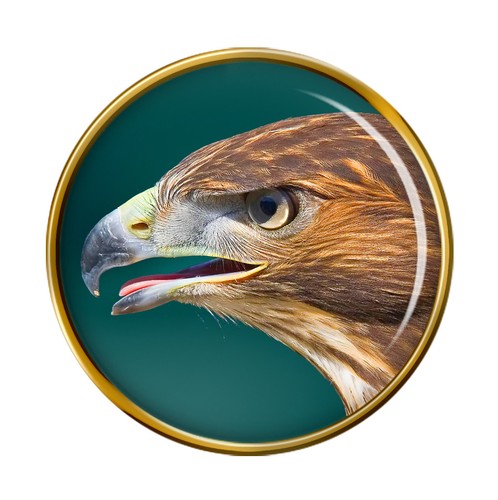 Hawk's Head Lapel Pin Badge | eBay
