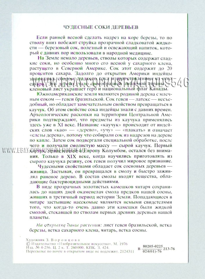 Vintage PostCard WONDERFUL TREE SAP a Brazilian hevea leaf, a birch ...