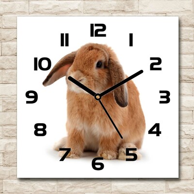 Glass Wall Clock 30x30 Red-haired rabbit | eBay UK