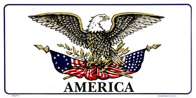 AMERICAN USA FLAG EAGLE AMERICA 6"x12" Aluminum License Plate Tag | eBay