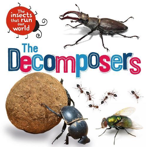 Sarah Ridley The Insects that Run Our World: The Decomposers (Relié ...