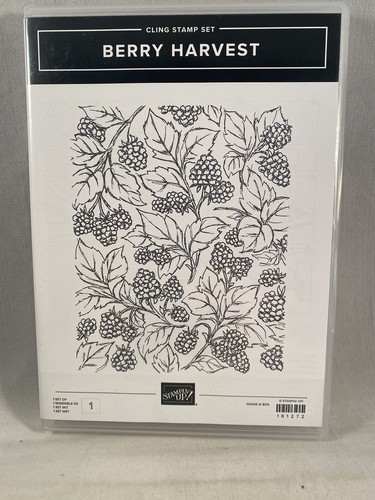 BERRY HARVEST Stamp Set Stampin Up Background Blackberry A24 | eBay