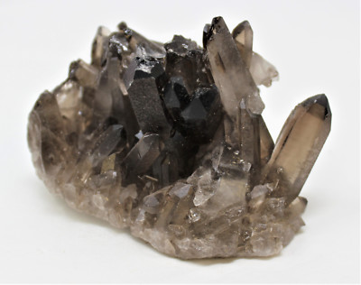 Smoky Quartz Crystal Geode (3 - 5 oz) Natural Cluster Druze Specimen | eBay