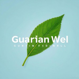 Guardian Well | eBay Stores