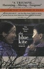 THE BLUE KITE ORIGINAL ROLLED MOVIE POSTER 1993 TIAN ZHUANGZHUANG LU ...