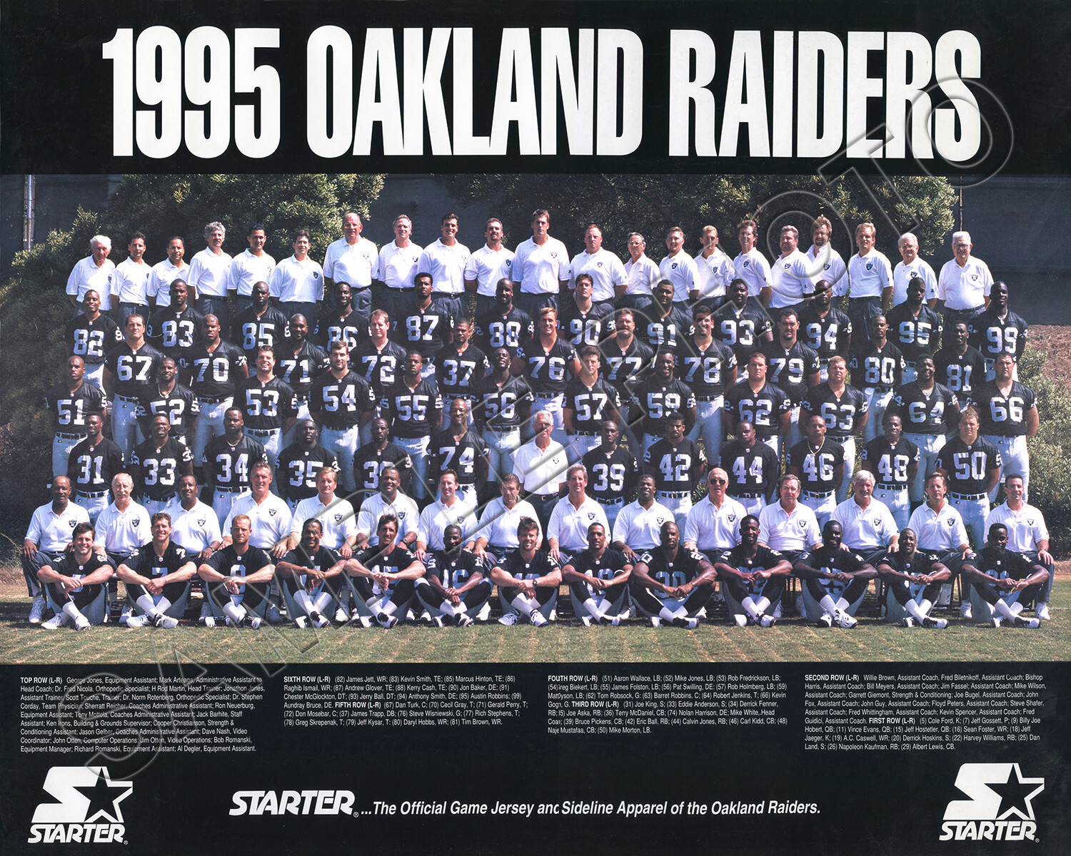 1995 OAKLAND RAIDERS FOOTBALL TEAM 8X10 PHOTO PICTURE | eBay