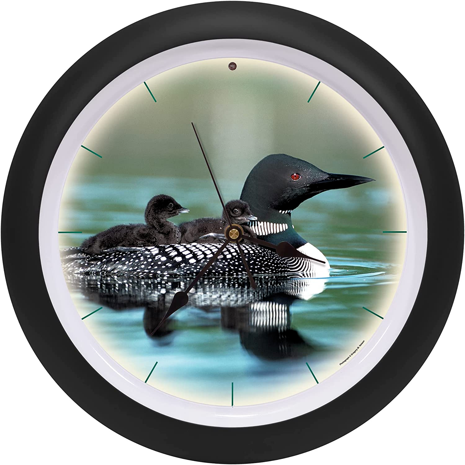 Call of the Loon Artwork Matte Black 13 Inch Sound Wall Clock | eBay