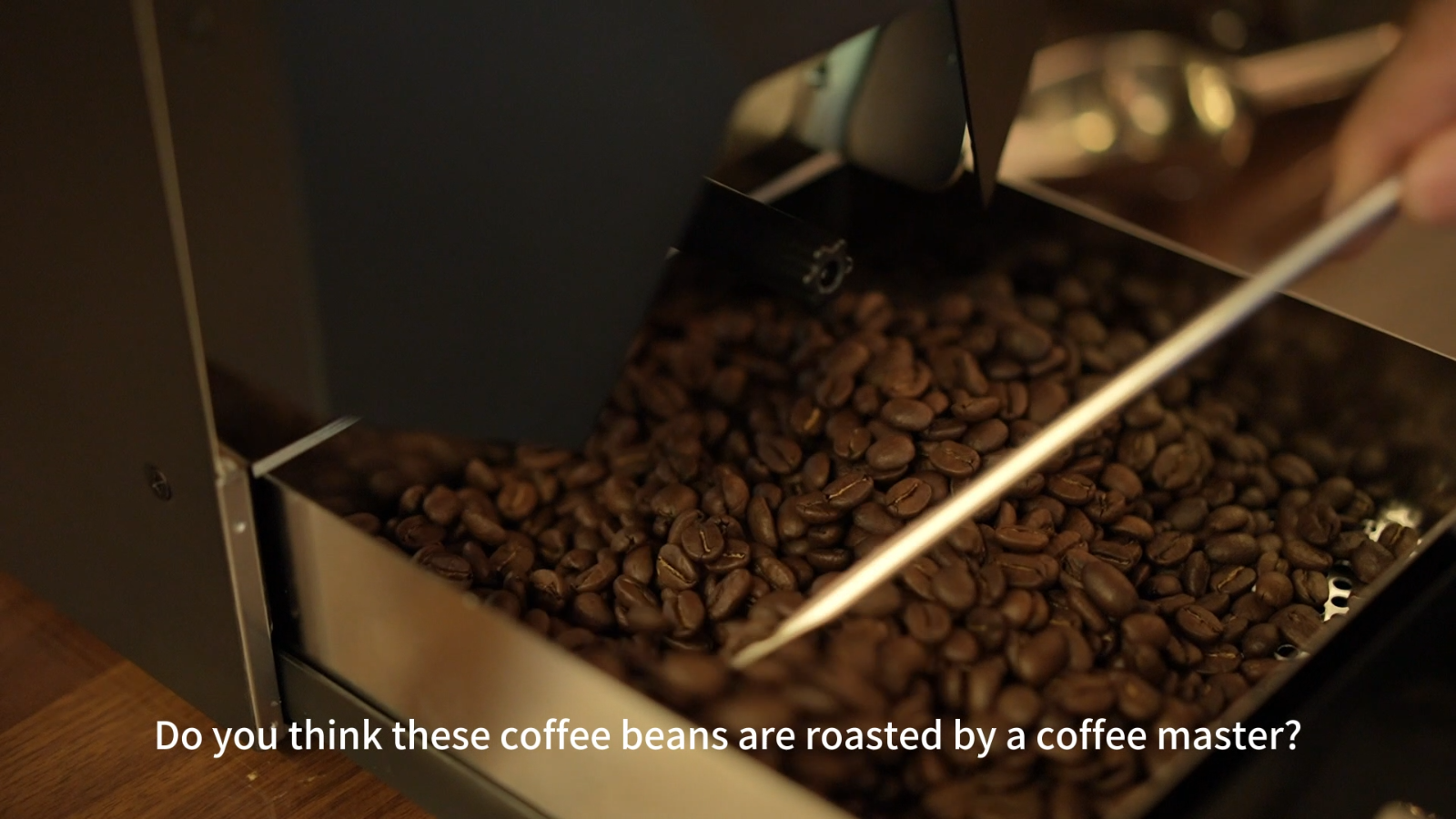 Electric Coffee Bean Roaster with Baking Curve Options Exhaust Coffee Roaster | eBay