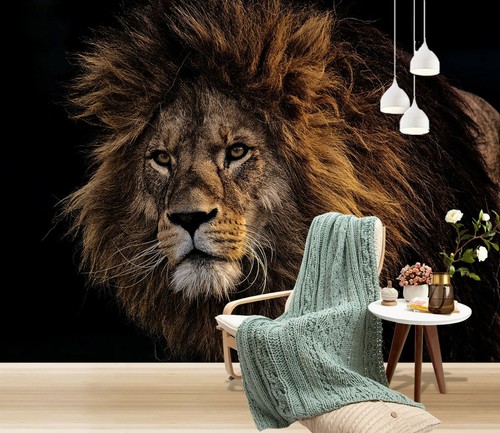 3D Lion King O09 Animal Wallpaper Wall Murals Removable Wallpaper Fay ...