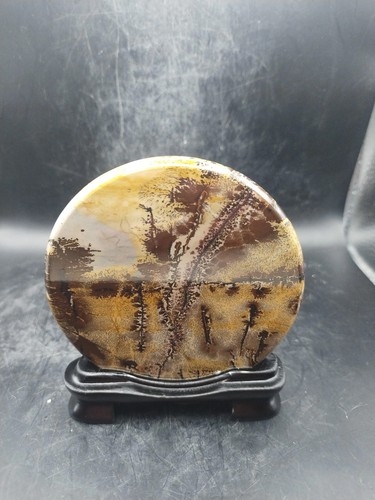 Natural Picture jasper slab with stand! 4.7 ounces,3.5 inches! | eBay