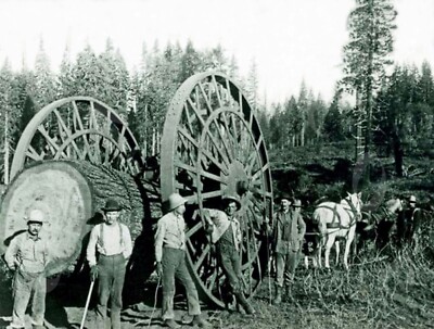 EARLY ANTIQUE 8X10 REPRODUCTION PHOTOGRAPH LOGGING MEN WITH HORSES | eBay