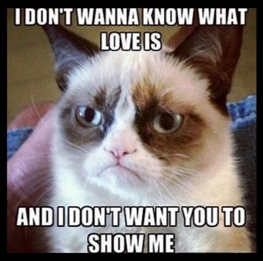 Grumpy Love Memes Sweet Girl Vs. Grumpy Boy 🐾♥ #petsoftiktok