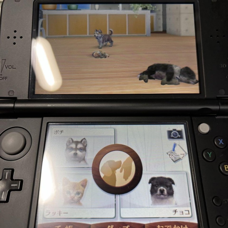 nintendogs + cats French Bull & New Friends | eBay
