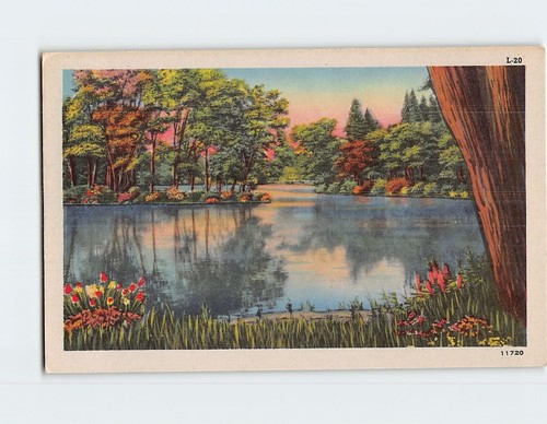 Postcard Lake Flowers Trees Nature Scenery | eBay