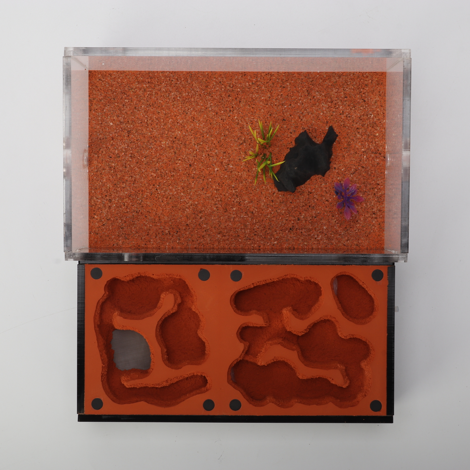 Ant Nest Farm Formicarium Concrete Alpine Red Clay Ant Box Home Ant ...
