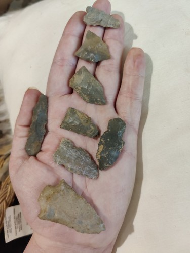 Authentic Indian Artifacts Arrowheads, north Alabama (8) points Copena ...
