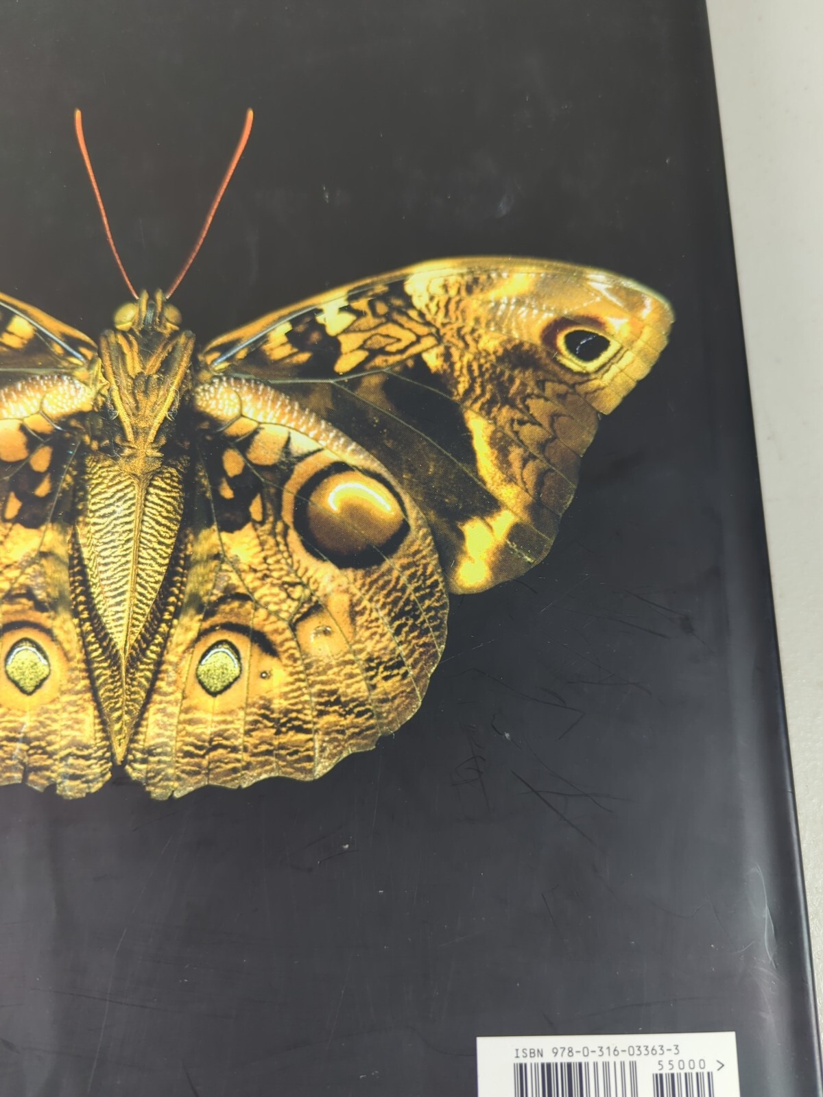 One Hundred Butterflies by Fred Gagnon (2009, Hardcover) for sale ...