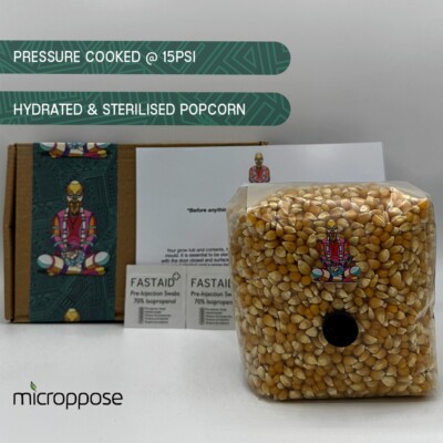 Popcorn Grain Bag 500g - 1.5KG For Mushroom Growing Spawn Hydrated ...