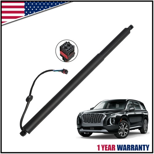 81841-S8100 Right Trunk Lift Strut Shock Fit For 2020-2022 Hyundai ...