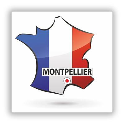 2 x Montpellier France Vinyl Stickers Travel Luggage #10168Â | eBay UK