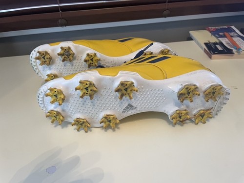 Adidas Men’s Custom Indiana pacers Golf Shoes 8 | eBay