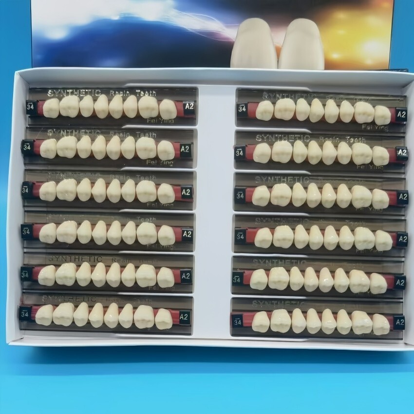 Dental Acrylic Resin Polymer Teeth Denture 2-lay Anterior And Posterior ...